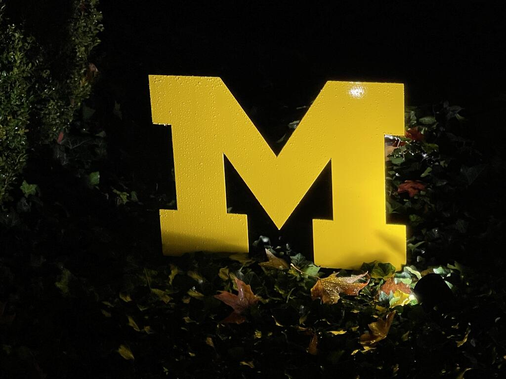 Michigan Wolverines Metal Yard Art - Michigan Metal Artwork